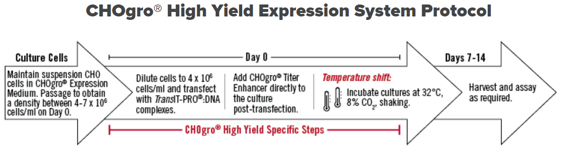 CHO細胞による一過性タンパク質発現システム CHOgro High Yield Expression System（Mirus Bio ...